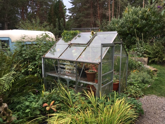 22 Jan 2023: “Human Kinship Language with Nature” with Rebecca Burrill ...